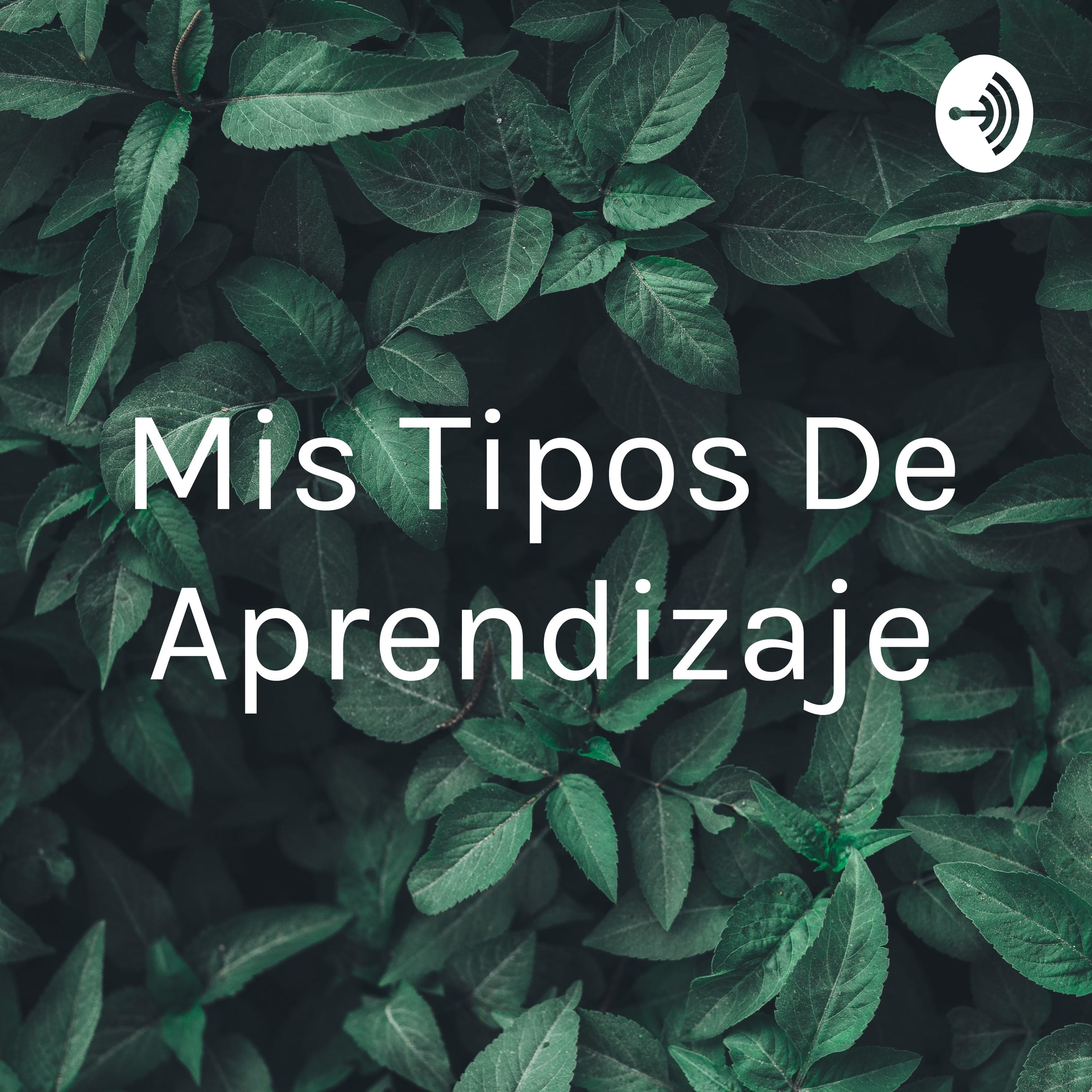 Mis tipos de aprendizaje by Mis Tipos De Aprendizaje | Podchaser