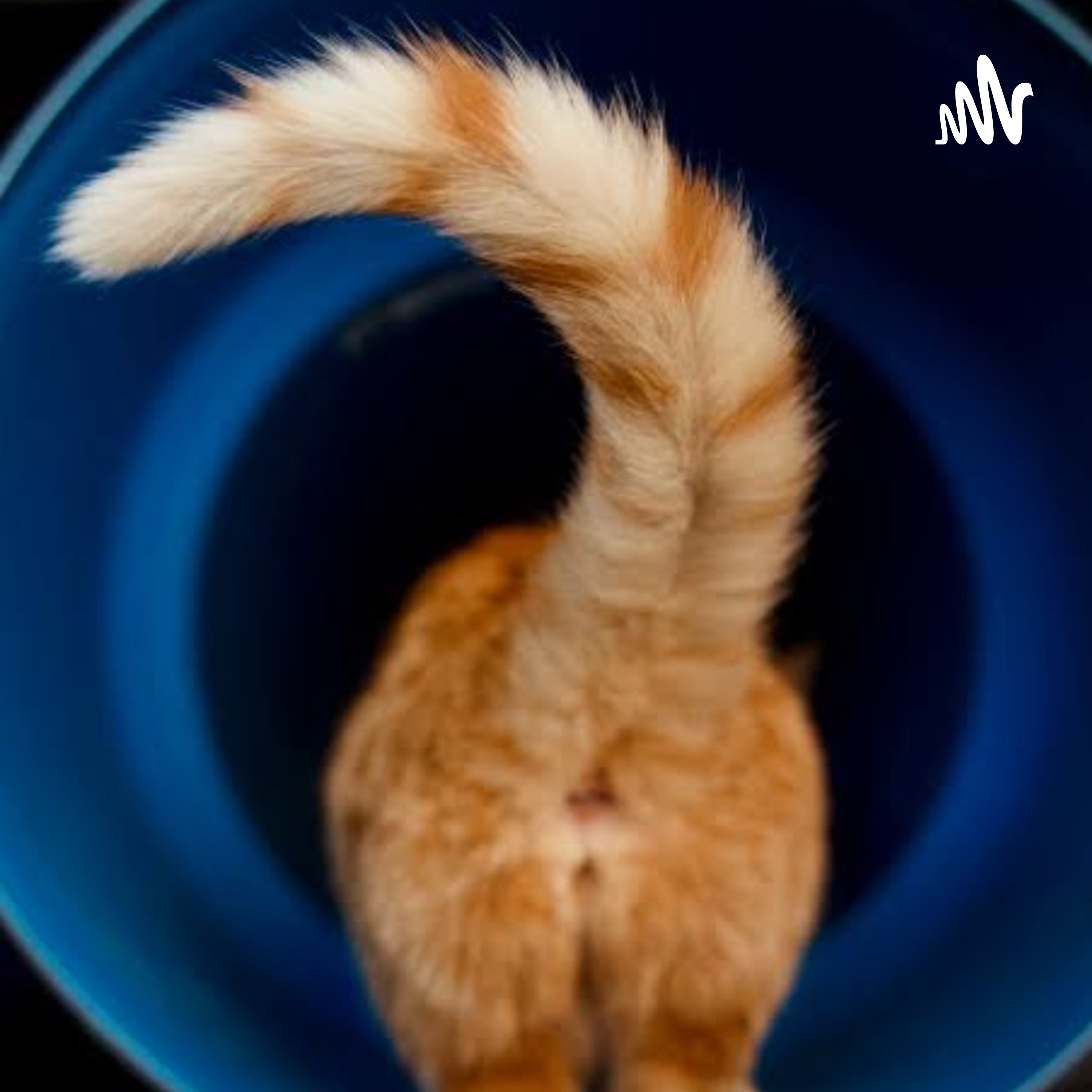 NAaY VaaL (Podcast) | Podchaser