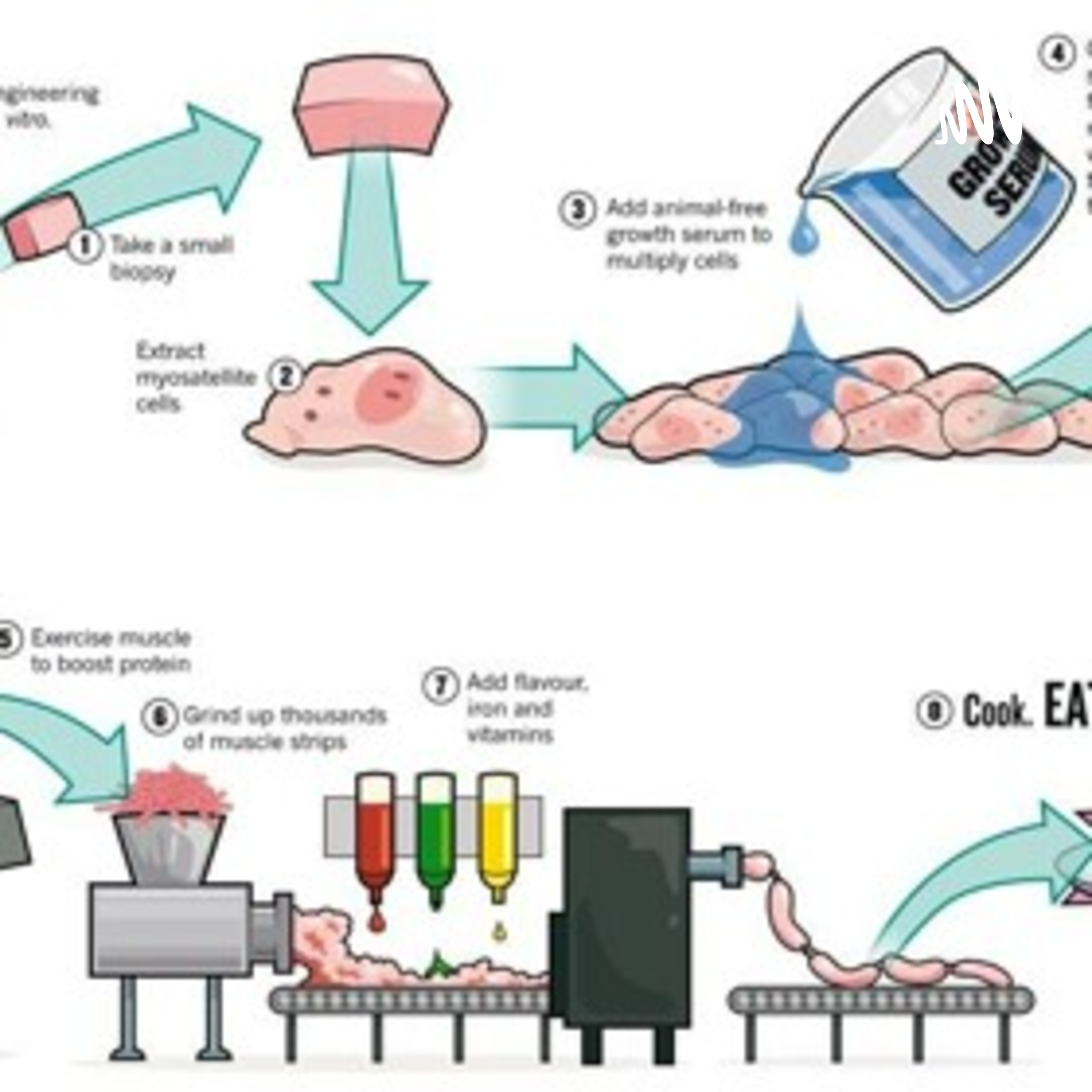 Contacts, Reach, Demographics for An Emerging Technology That Will ...