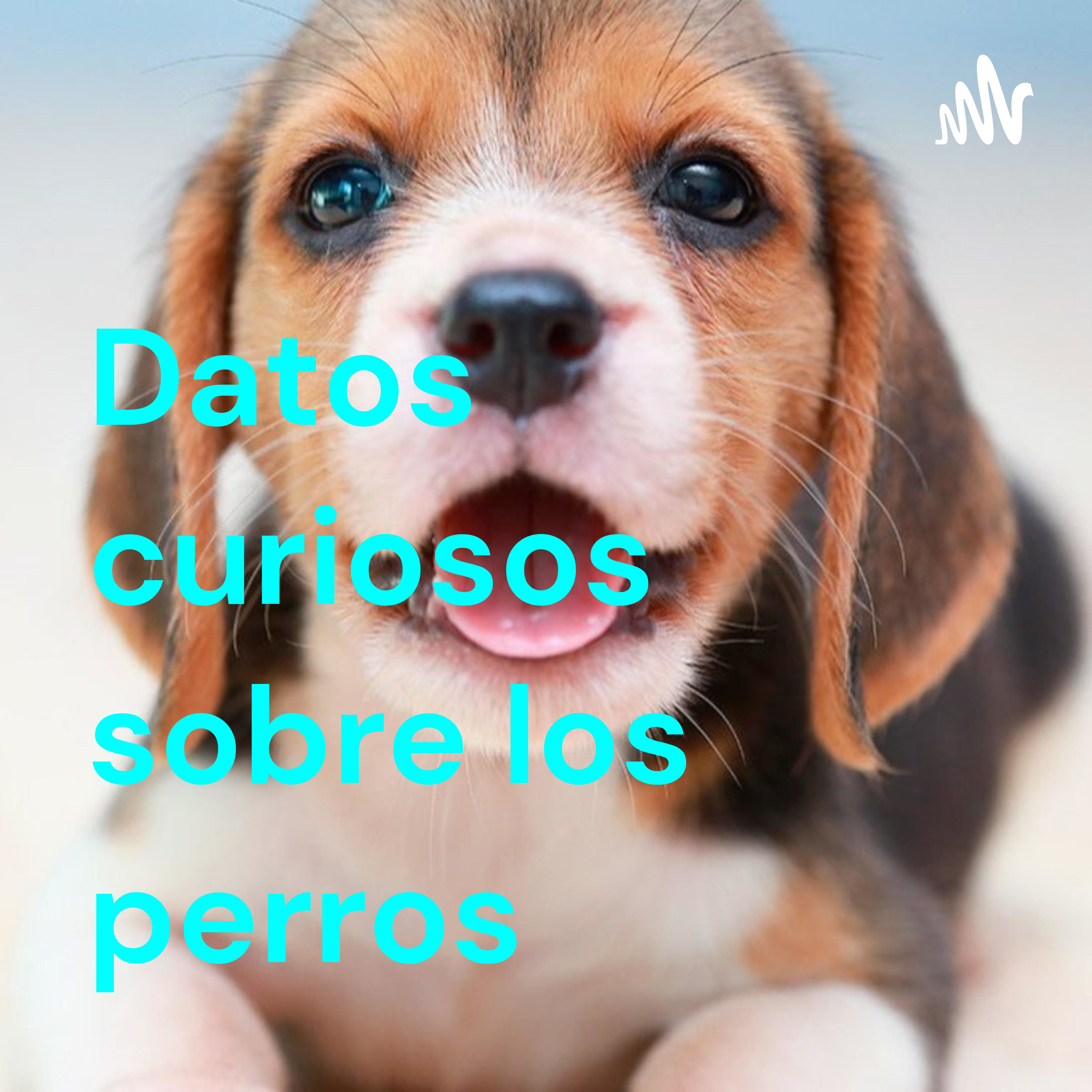 Datos curiosos sobre los perros (Podcast) | Podchaser
