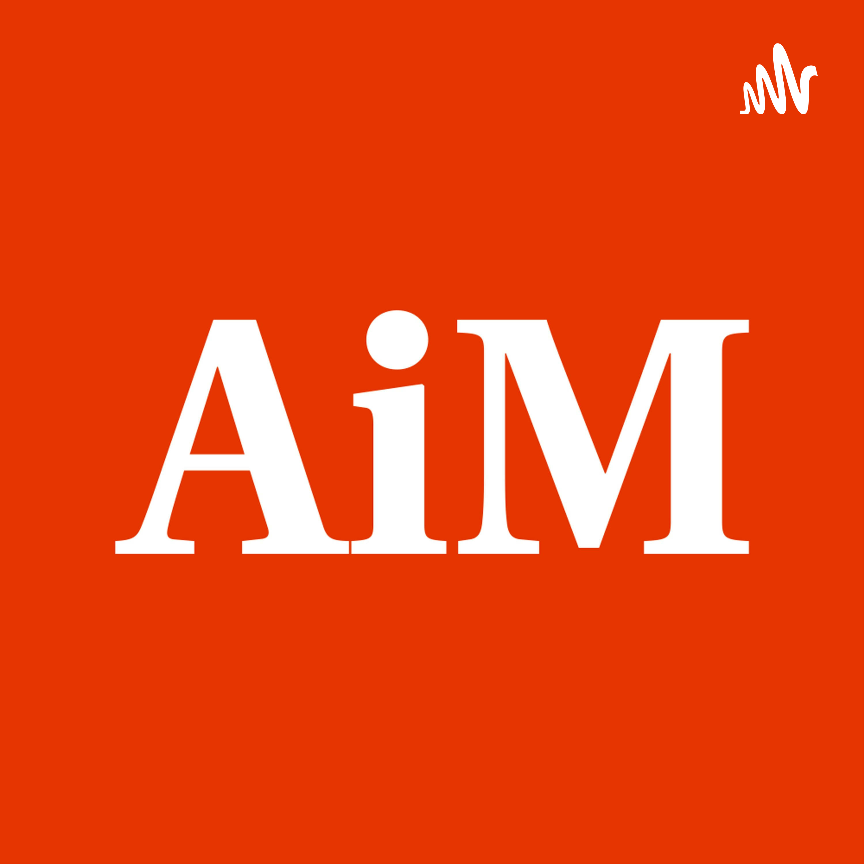 Lerman, Quigley and Krawzak on the appropriations process by AiM