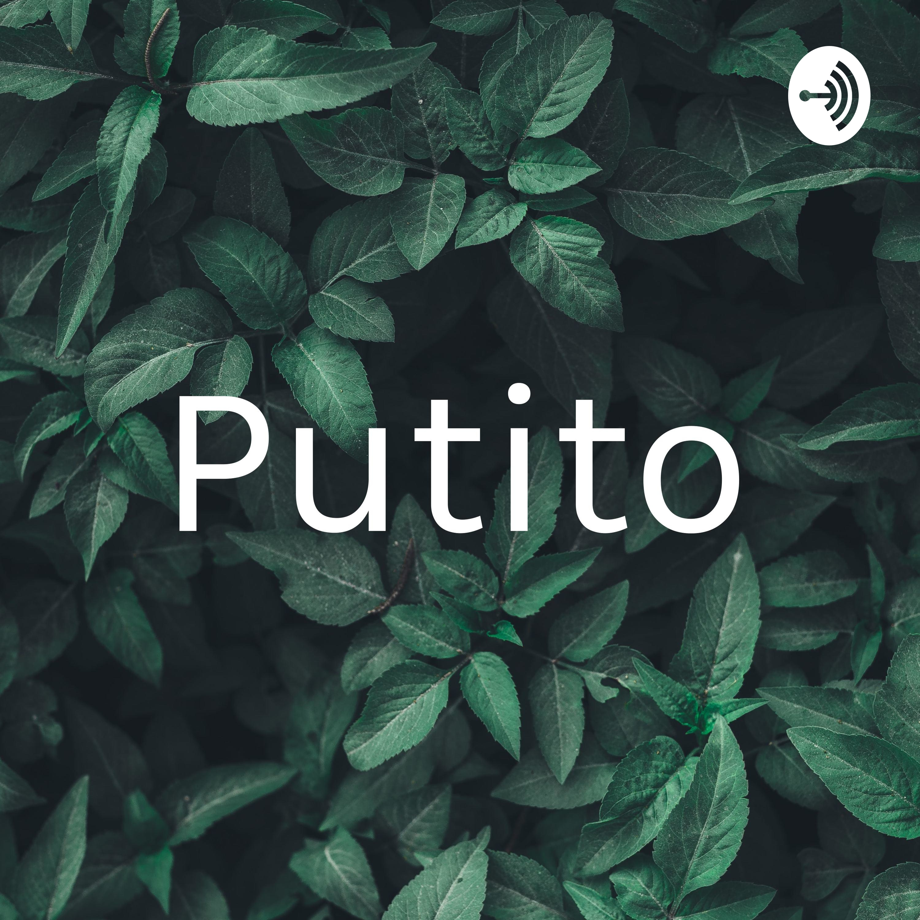 Callate hijo de tu puta madre – Putito – Podcast – Podtail