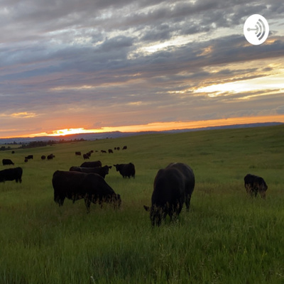 Agriculture Matters • A podcast on Spotify for Creators