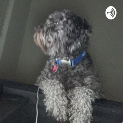 Podcast project • A podcast on Spotify for Creators