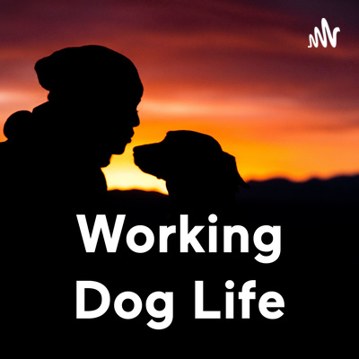 Working Dog Life • A podcast on Spotify for Creators