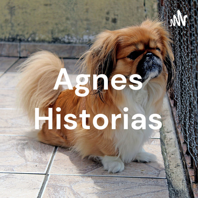 Agnes Historias • A podcast on Spotify for Creators