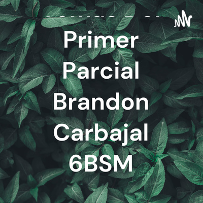 Temas Del Primer Parcial Brandon Carbajal 6BSM • A podcast on Spotify ...