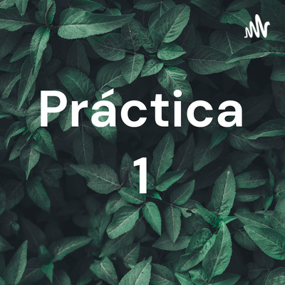 Práctica 1 • A podcast on Spotify for Creators
