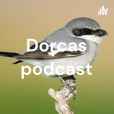 Dorcas podcast • A podcast on Spotify for Creators