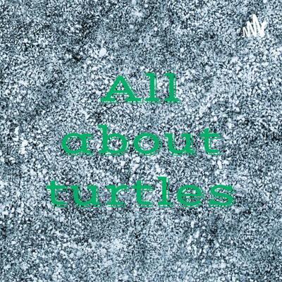 All about turtles • A podcast on Spotify for Podcasters
