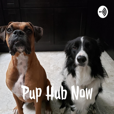 Pup Hub Now • A podcast on Spotify for Podcasters
