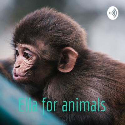 Ella for animals • A podcast on Spotify for Podcasters