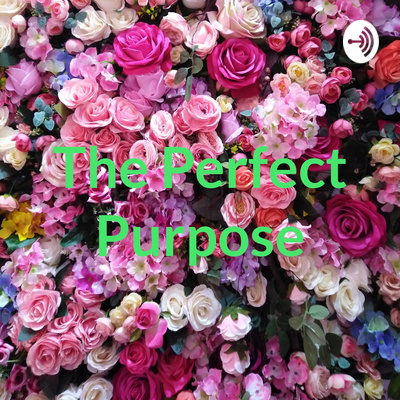 The Perfect Purpose • A podcast on Spotify for Creators