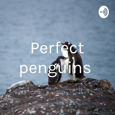 Perfect penguins • A podcast on Spotify for Creators
