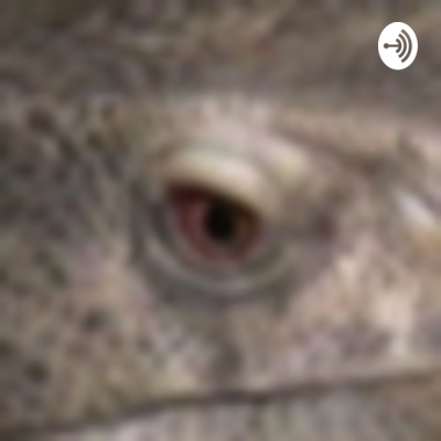 GavinsRagingReptiles • A podcast on Spotify for Creators