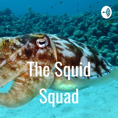The Squid Squad • A podcast on Spotify for Creators