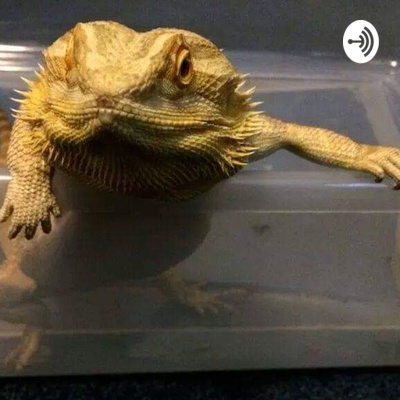 The Bryan Perryman Show • A podcast on Spotify for Creators