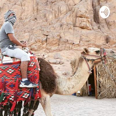 The Windi Experience • A podcast on Spotify for Creators