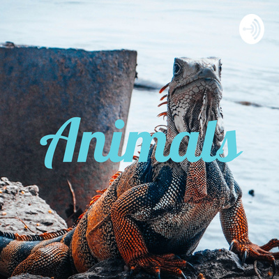 Animals • A podcast on Spotify for Creators