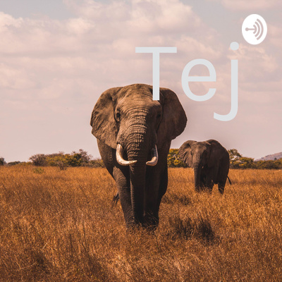 Tej • A podcast on Spotify for Creators