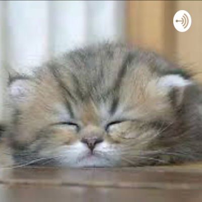 Jeremiah bailey • A podcast on Spotify for Creators