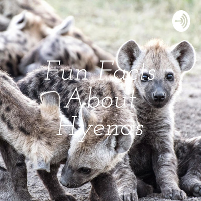 Fun Facts About Hyenas • A podcast on Spotify for Podcasters