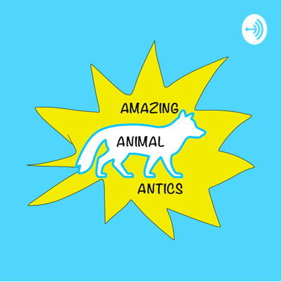 Amazing Animal Antics • A podcast on Spotify for Creators