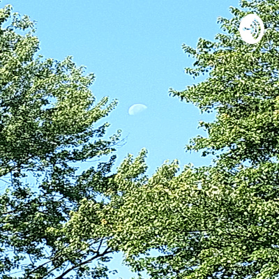 Jae Byrd • A podcast on Spotify for Creators