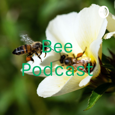 Bee Podcast • A podcast on Spotify for Creators