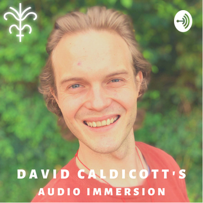 David Caldicott’s Audio Immersion • A podcast on Spotify for Creators