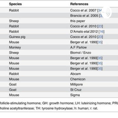 Direct Download Siberian Mouse Mm 30 34 • A podcast on Spotify for ...