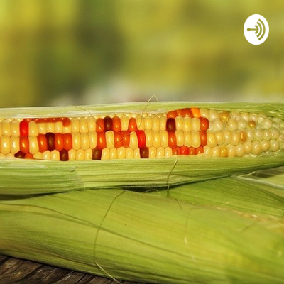 All things GMOs by Gnawing on GMOs