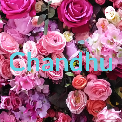 Chandhu • A podcast on Spotify for Creators
