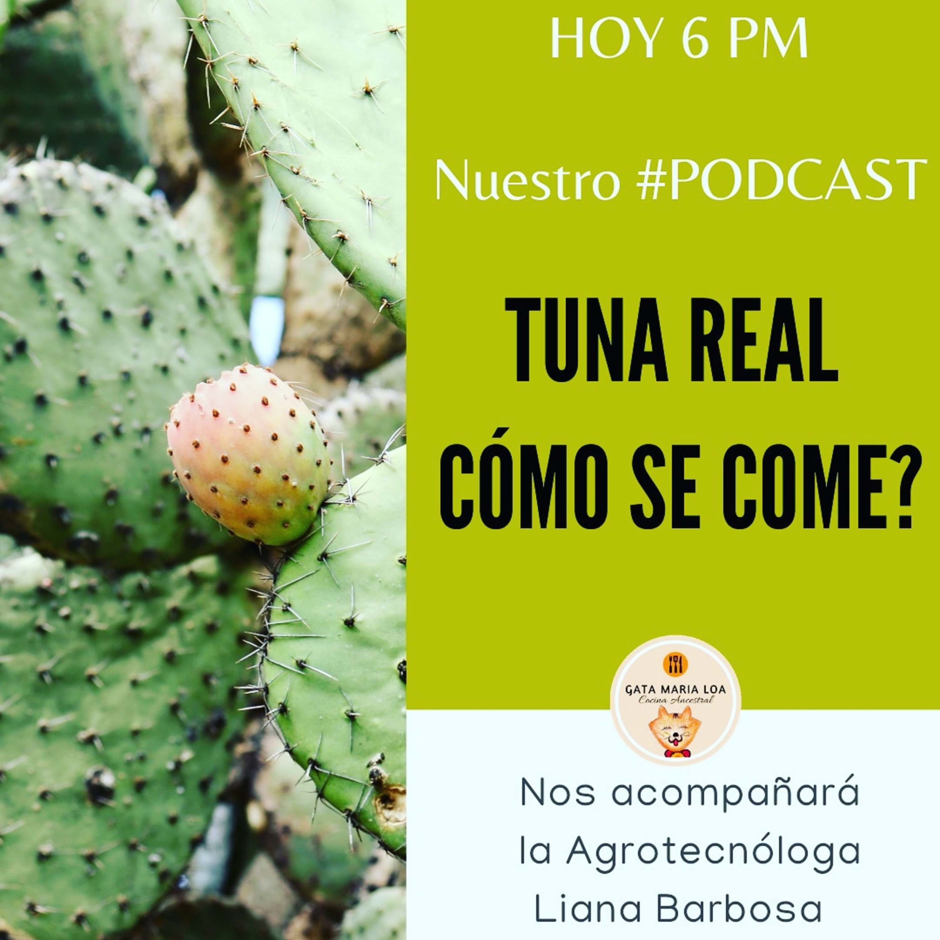 Tuna Real o Nopal Alimento Ancestral – Cómo nace una Receta? por Chef ...