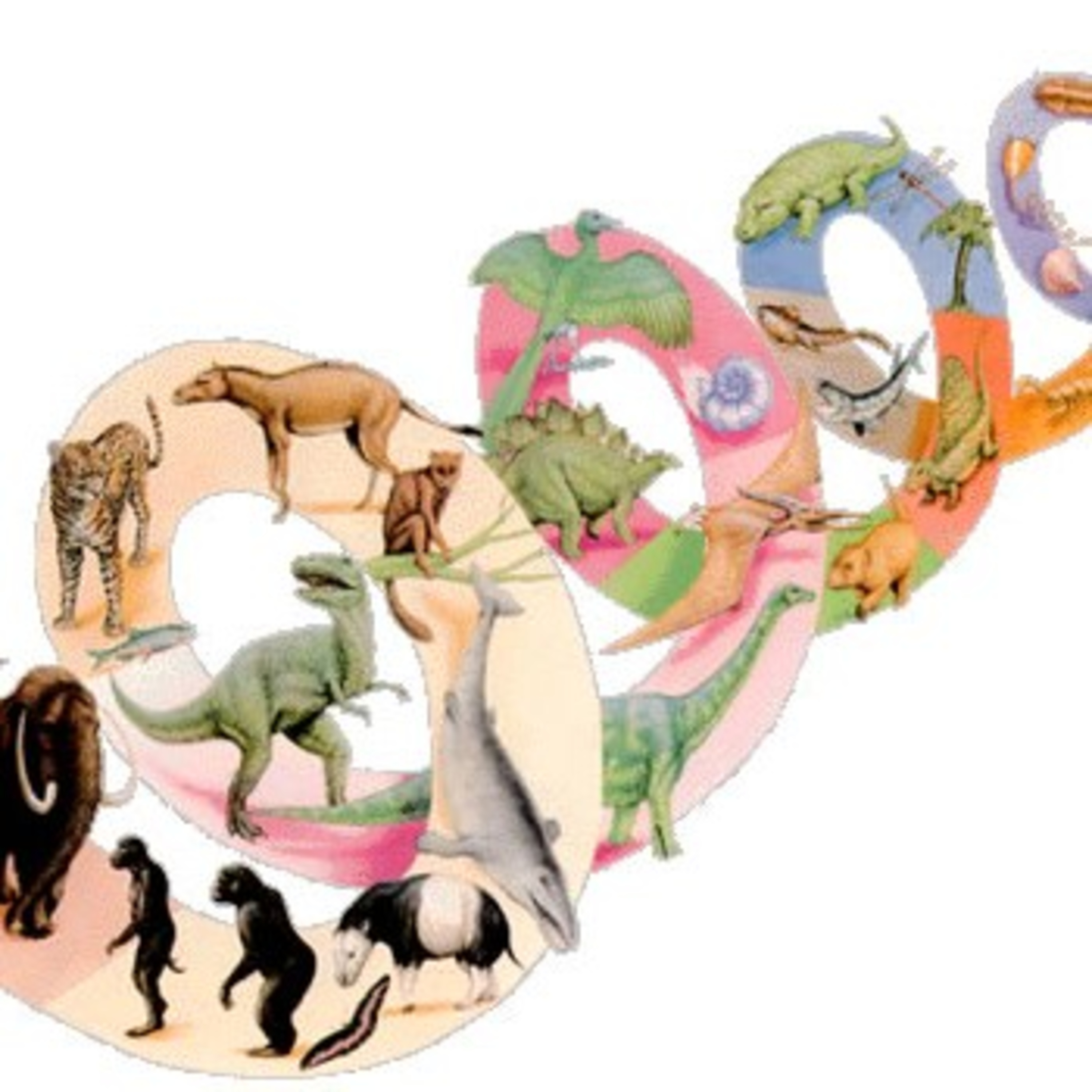 La importancia de la filogenia en las ciencias biológicas - ¿Qué es ...