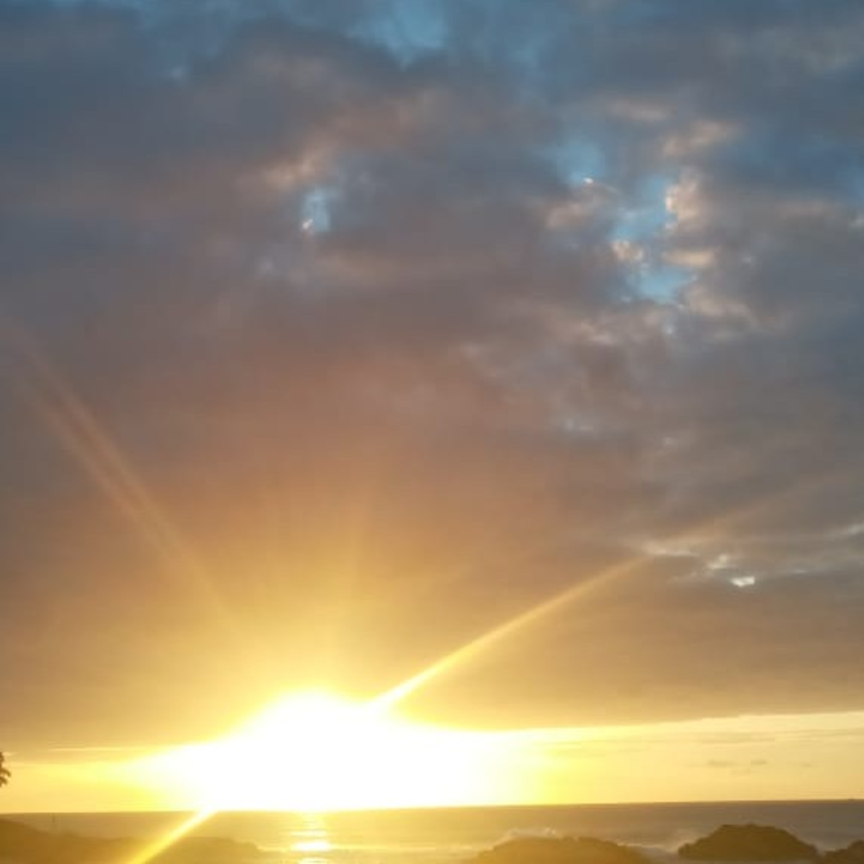 Asunción de la Virgen Maria – Poemas Norteños Con Sabor Ranchero ...