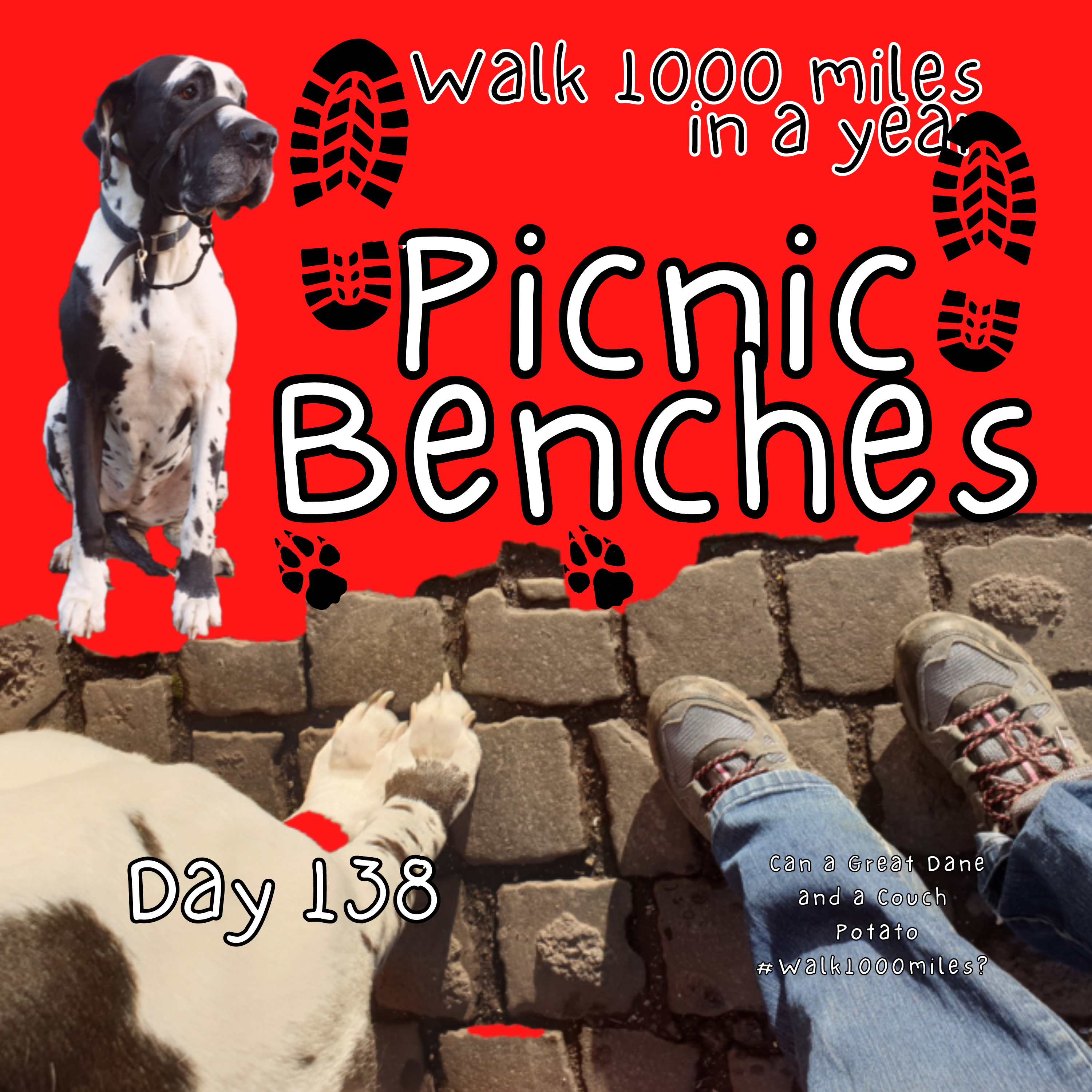 Day 138 Picnic Benches Walk 1000 Miles In A Year walk1000miles Day 138 Picnic Benches Walk 1000 Miles In A Year walk1000miles