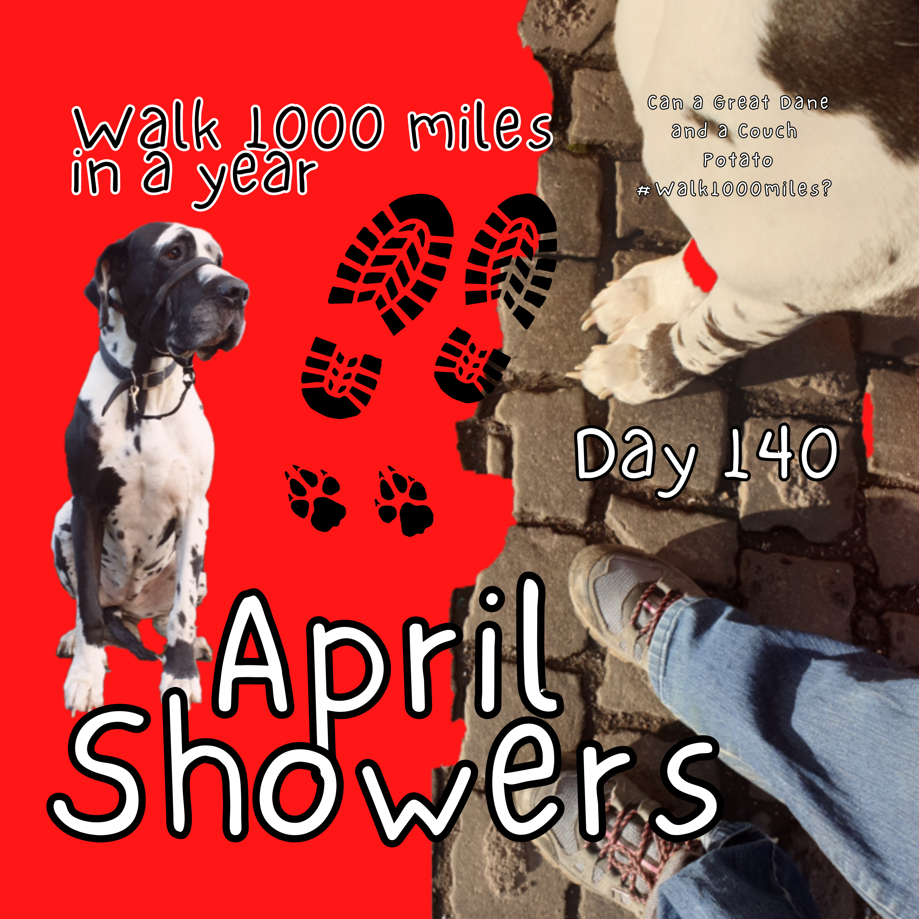 Day 140 April Showers Walk 1000 Miles In A Year walk1000miles 
