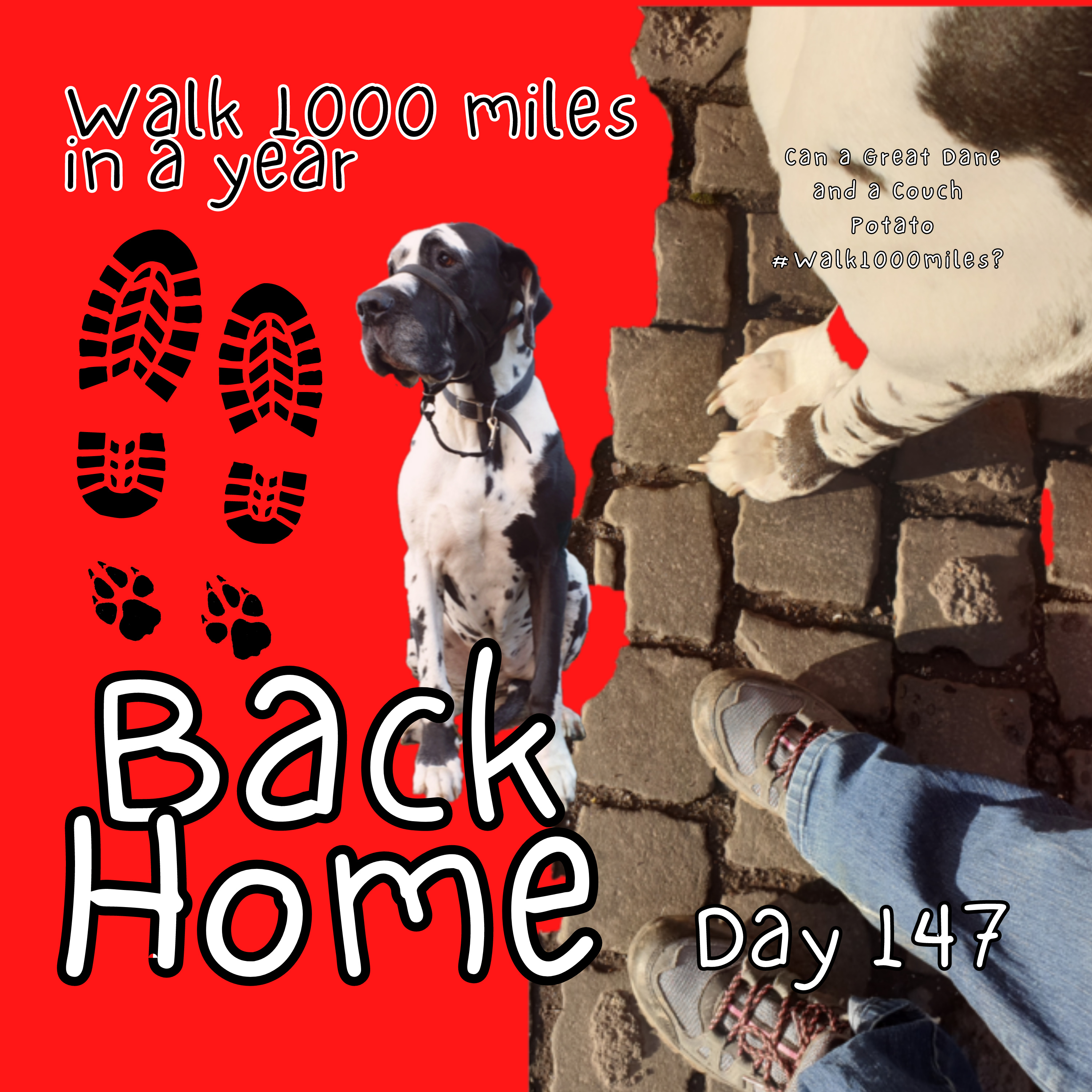Day 147 Back Home Walk 1000 Miles In A Year walk1000miles Day 147 Back Home Walk 1000 Miles In A Year walk1000miles
