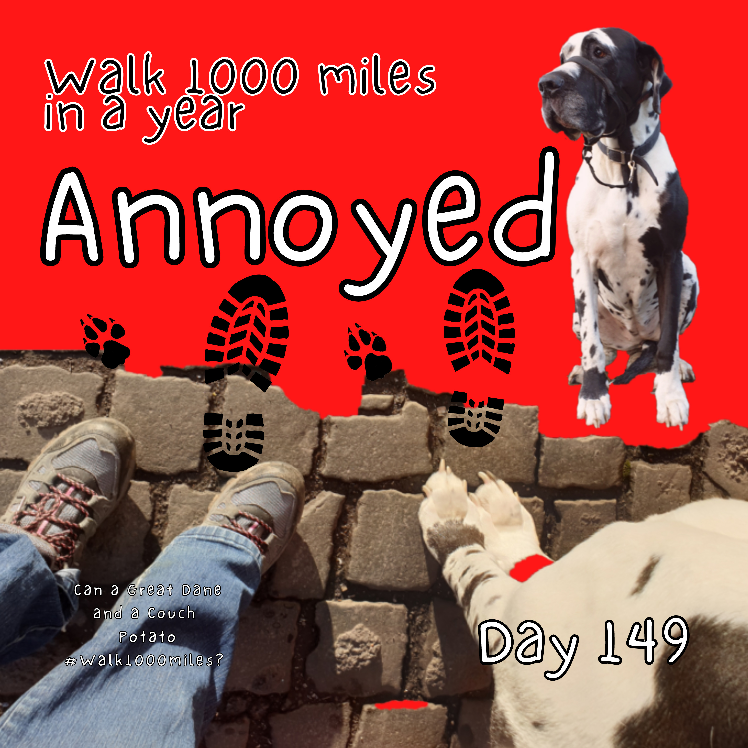 Day 149 Annoyed Walk 1000 Miles In A Year walk1000miles 