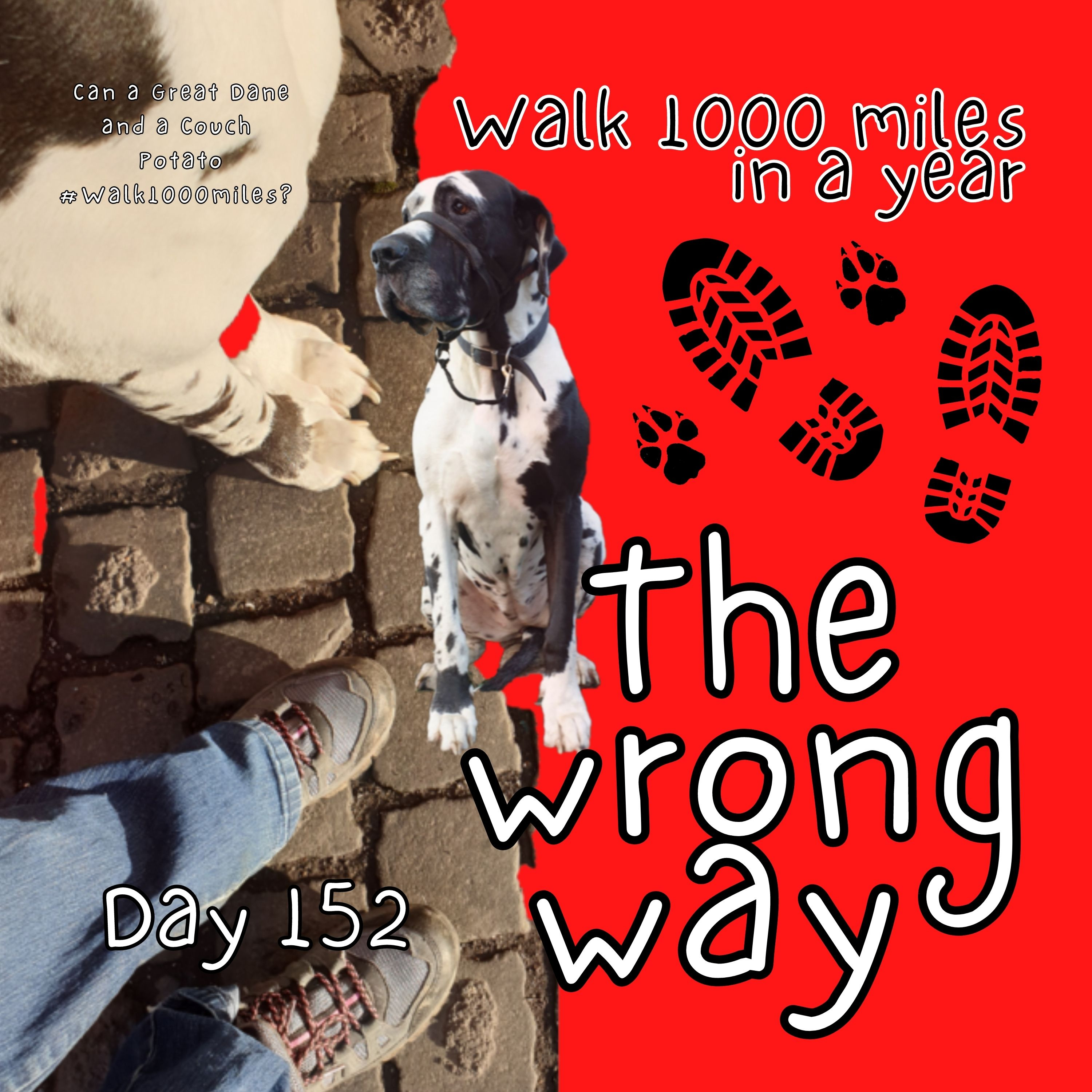Day 152 The Wrong Way Walk 1000 Miles In A Year walk1000miles Day 152 The Wrong Way Walk 1000 Miles In A Year walk1000miles
