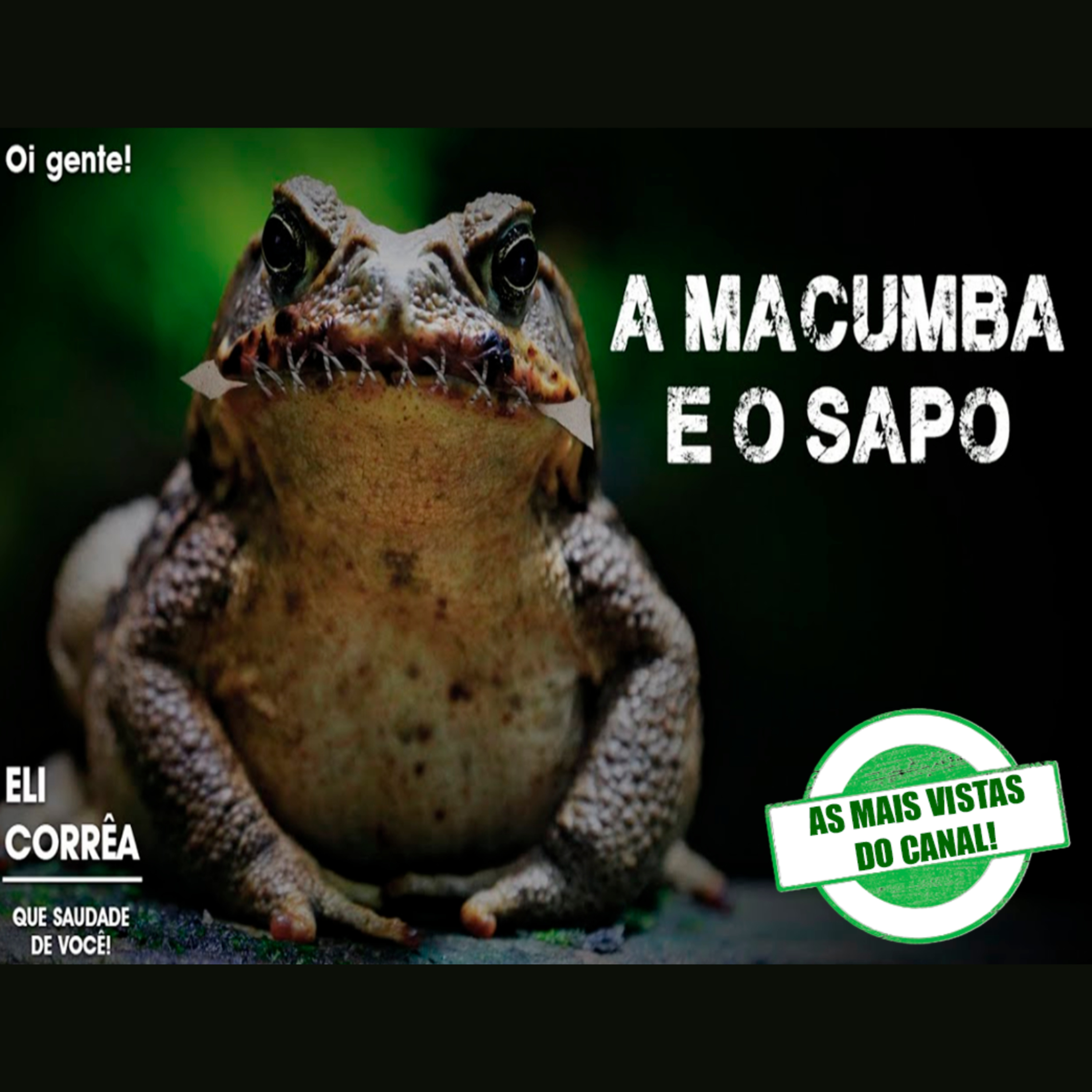 AS MAIS VISTAS | Relembre - A macumba e o sapo | Eli Corrêa Oficial ...