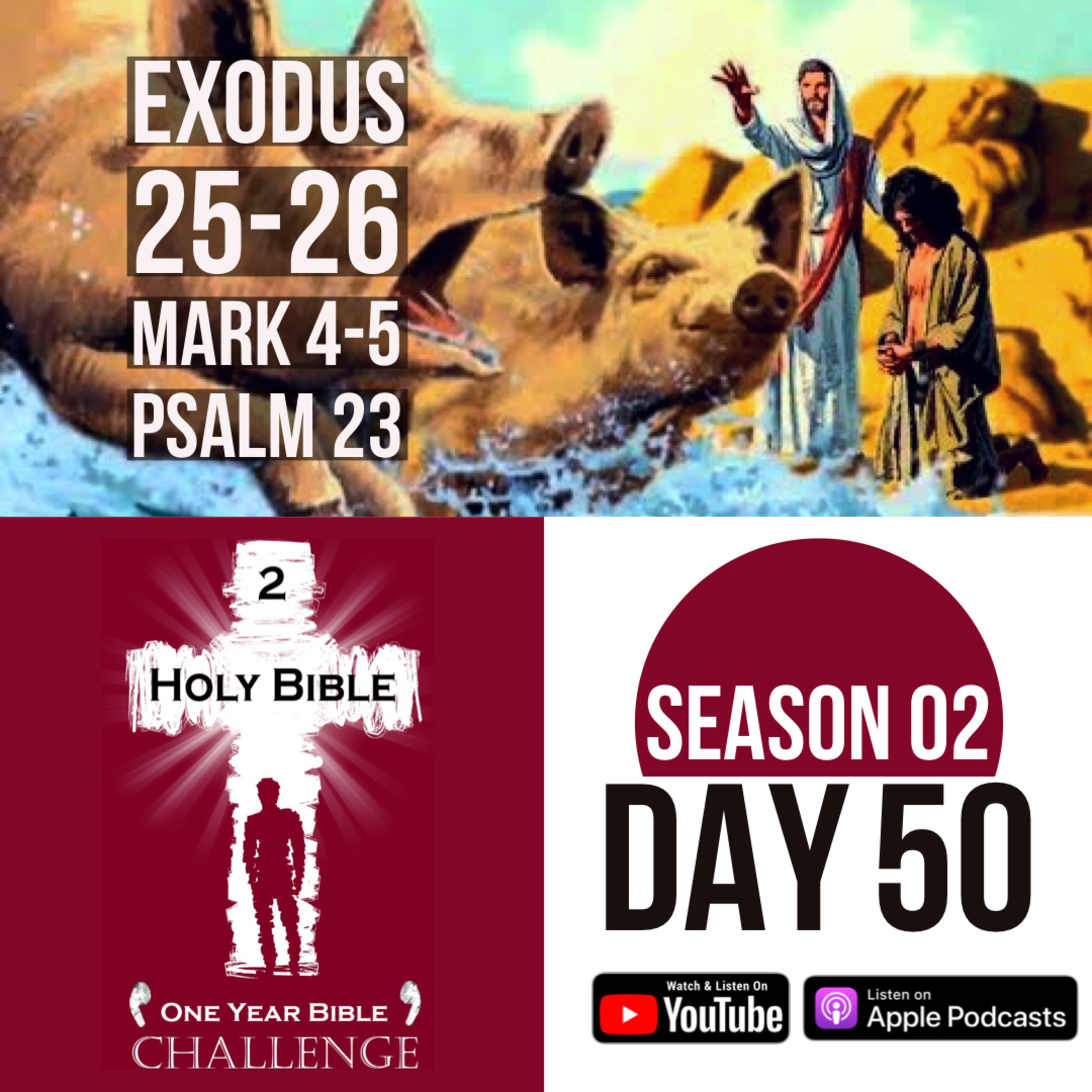 Holy Bible In 1 Year: Dramatized - Day 50 | God details the Ark of the ...