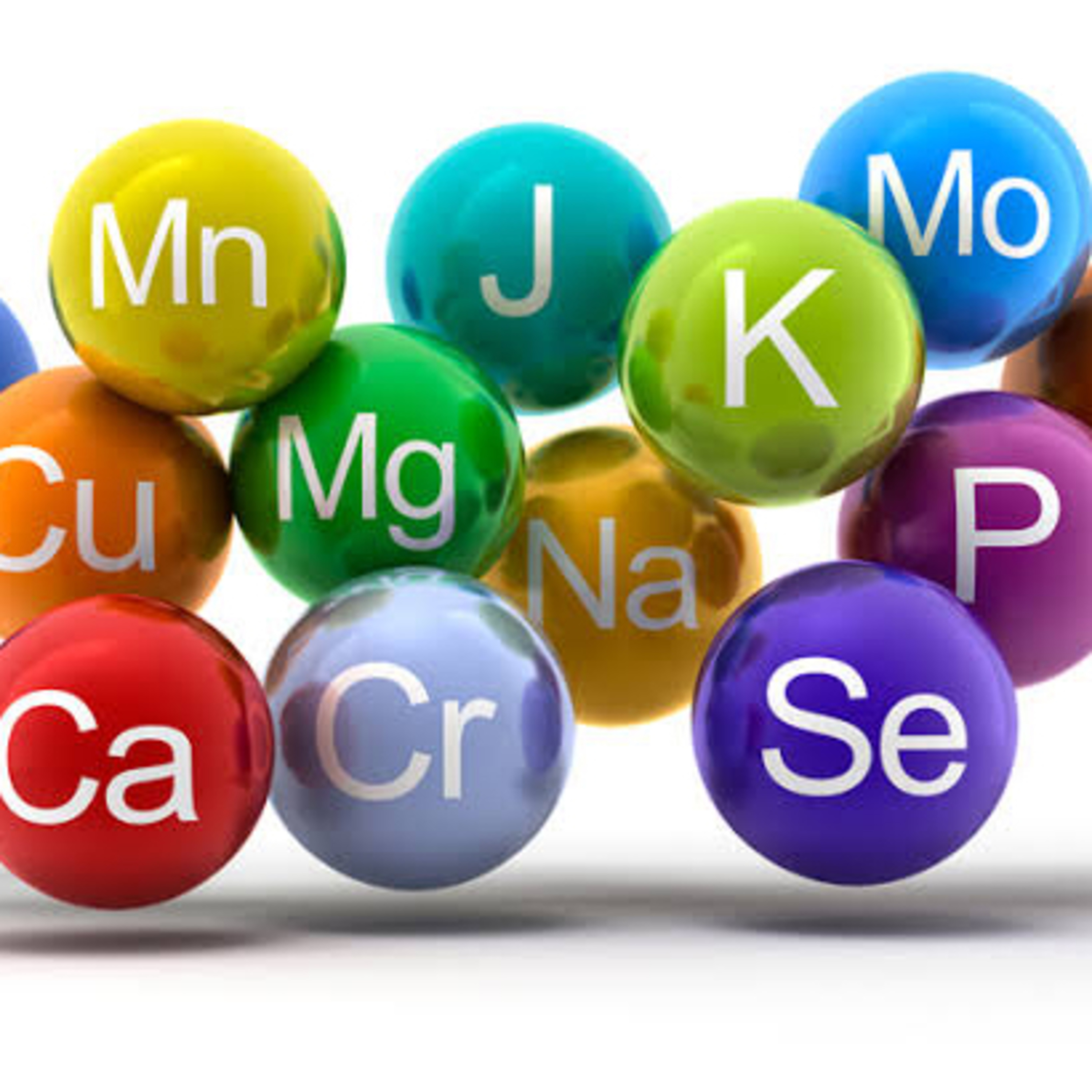 Importancia de los bioelementos en los seres vivos🌱🌎 | Procesamiento de ...