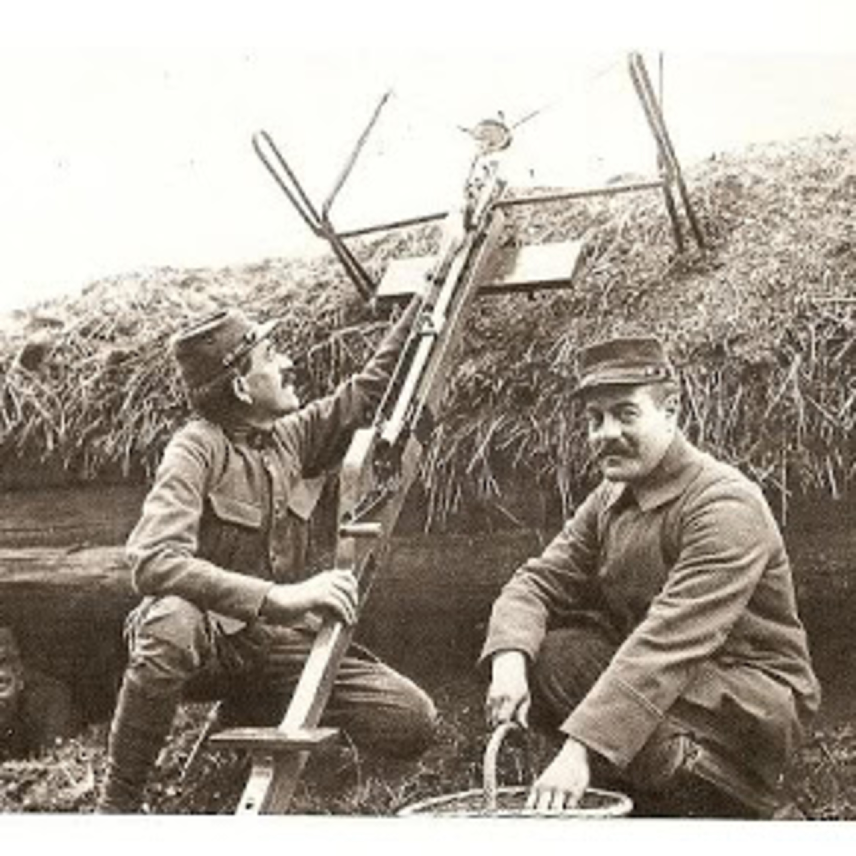 weapons in ww1 - Weapons In WW1 | Lyssna här | Poddtoppen.se