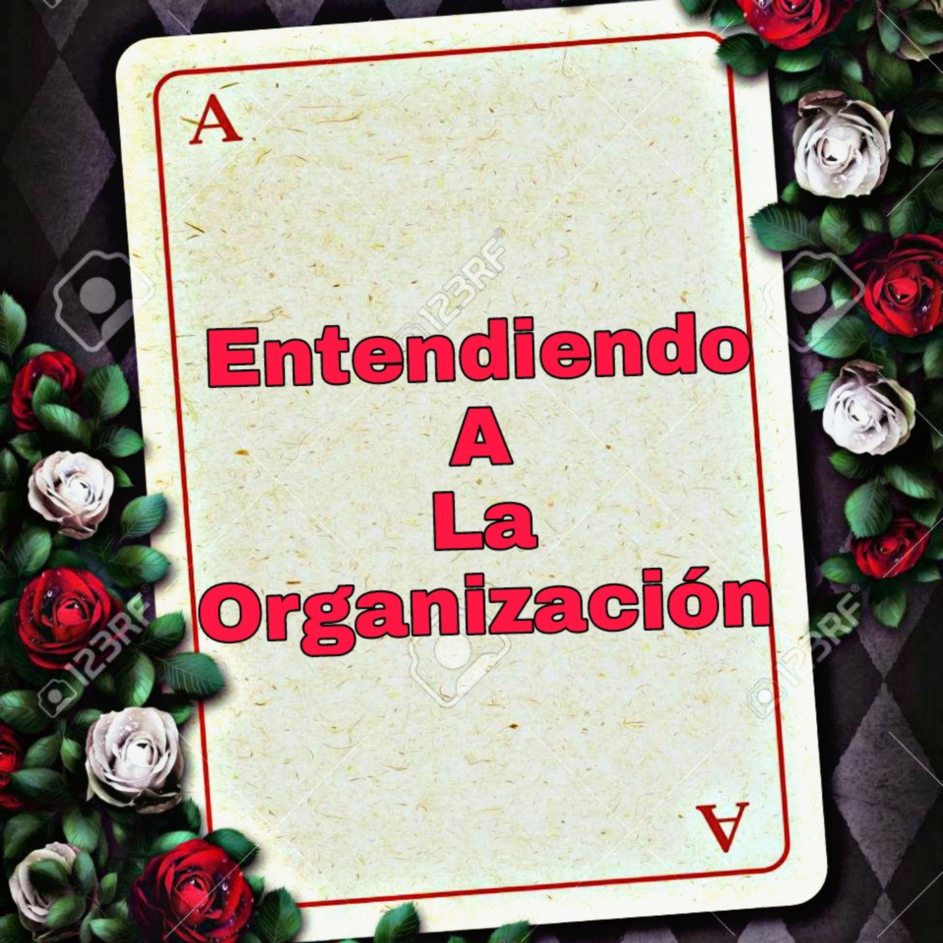 Entendiendo a la Organización – Alicia En El País De Las Maravillas – Podcast – Podtail