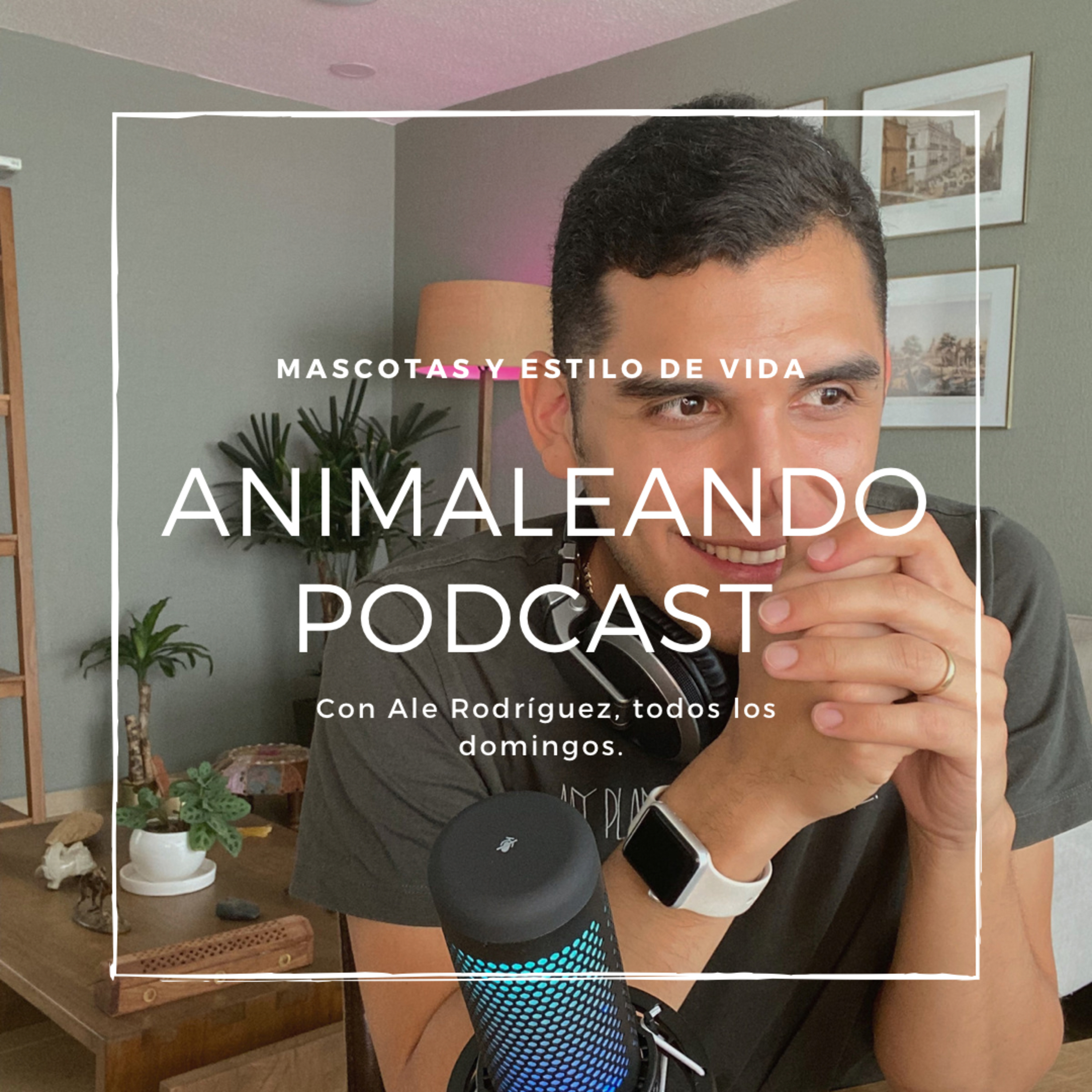 TOP 10 RAZAS de perros ideales para vivir en depas! – Animaleando ...