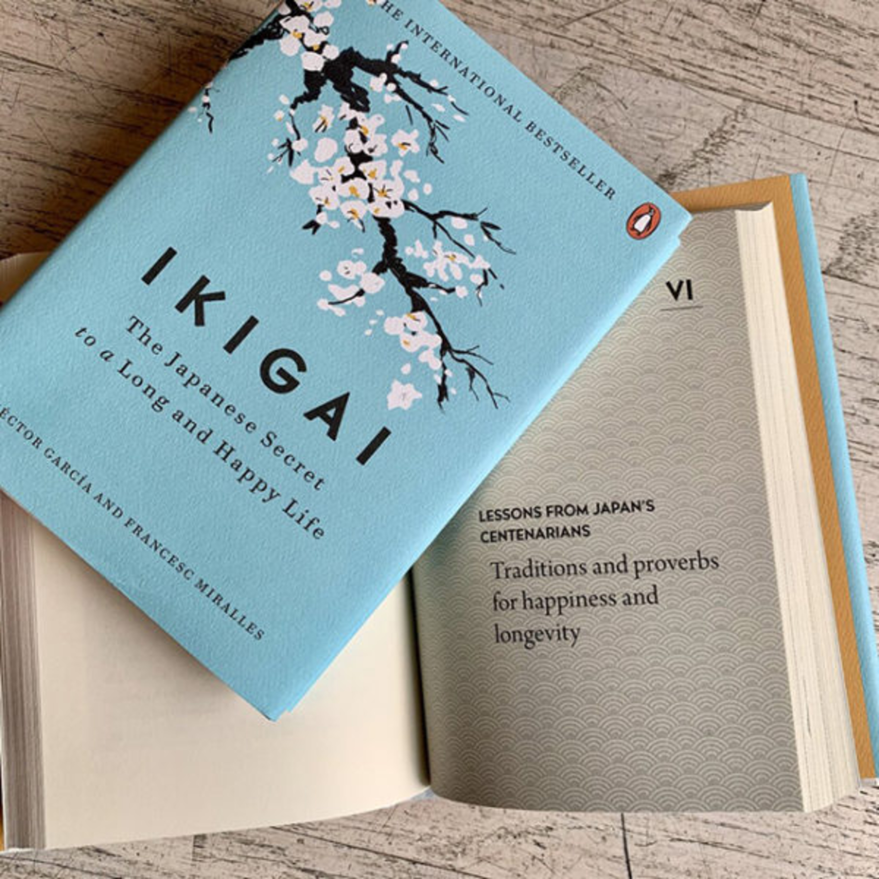 IKIGAI - Chapter 1 Episode 1 The Art of Staying young while growing old ...