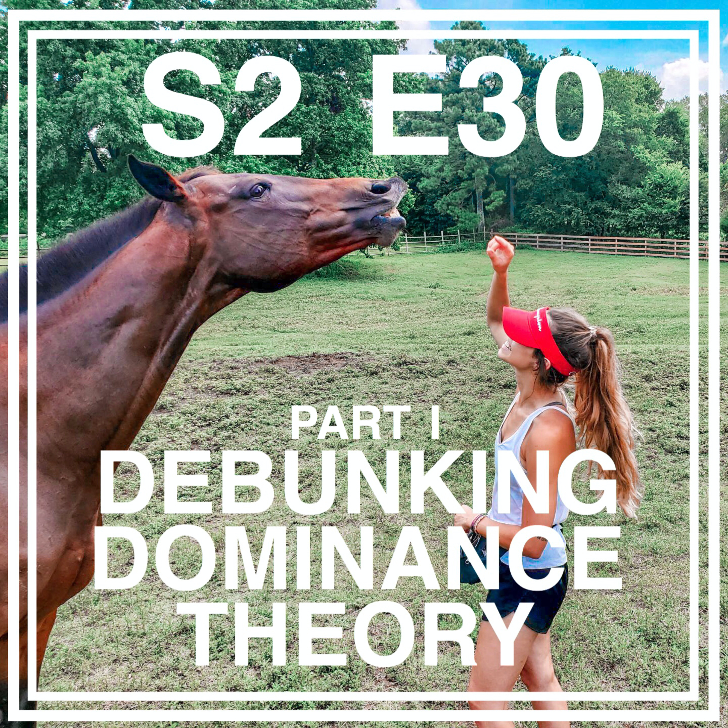 30 || Debunking Dominance Theory in Horses — Part I - EquiTheory ...
