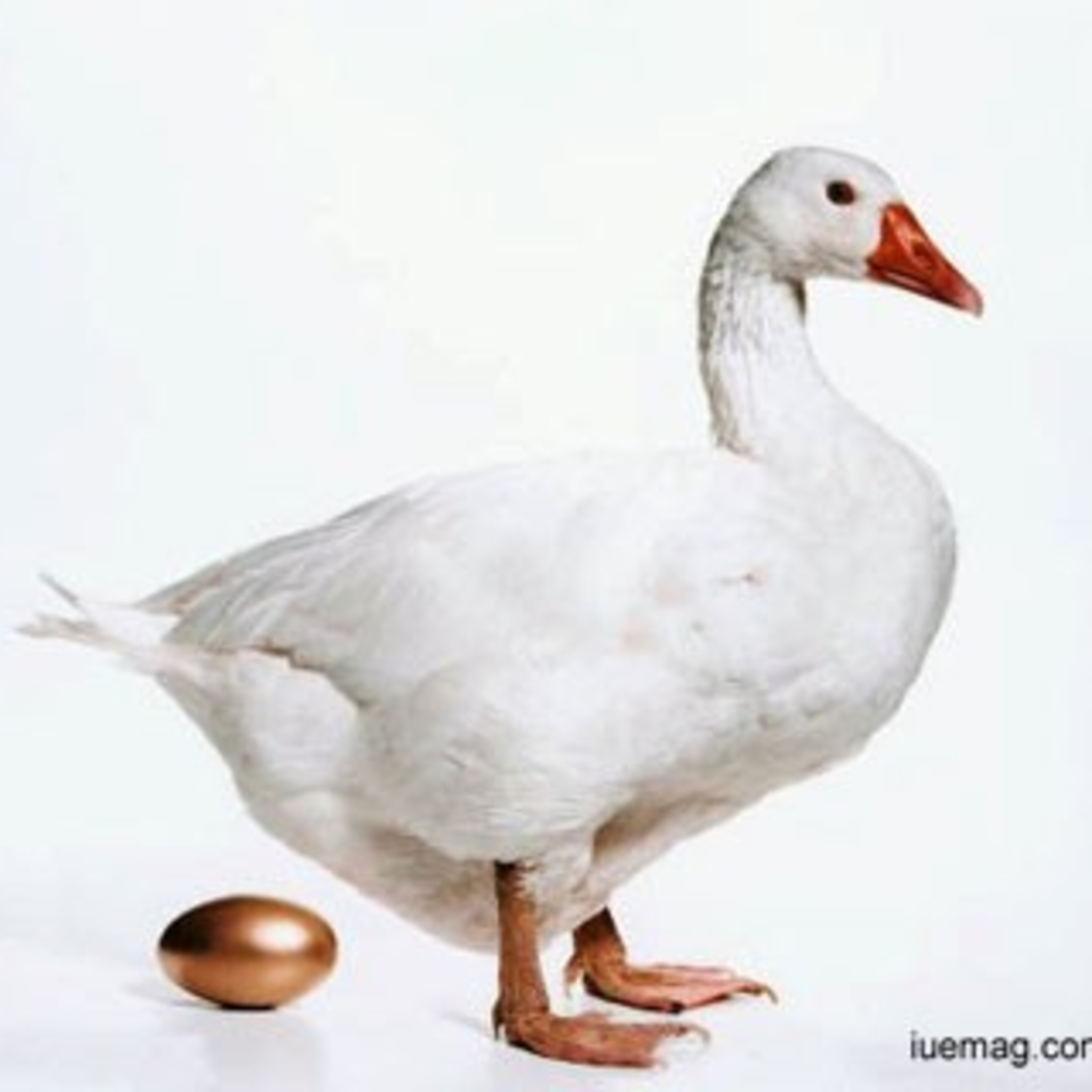 Don't Kill The Goose from Anti Bullying 101 on Hark